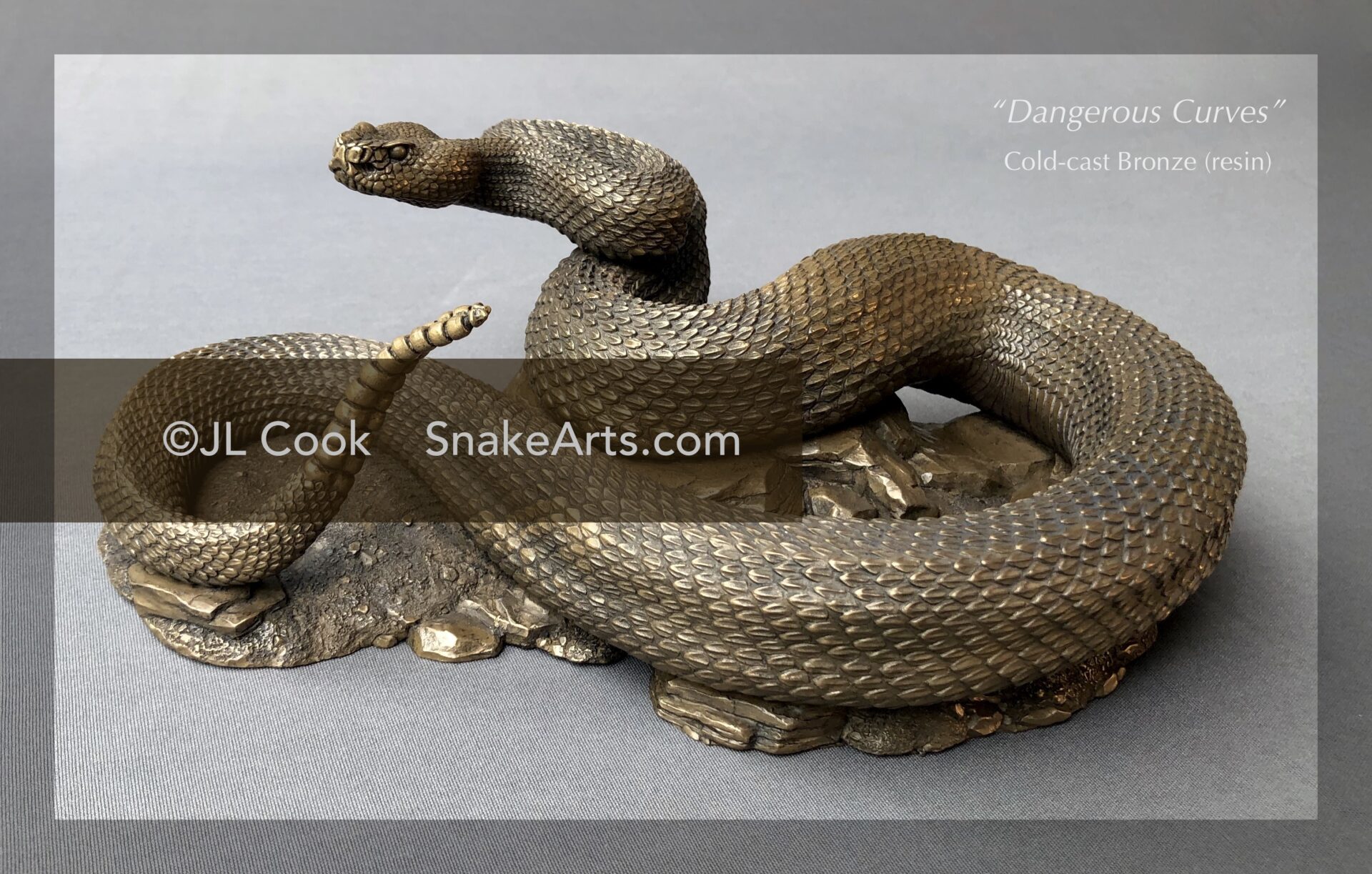 Portfolio | Art Portfolio | Snake Arts